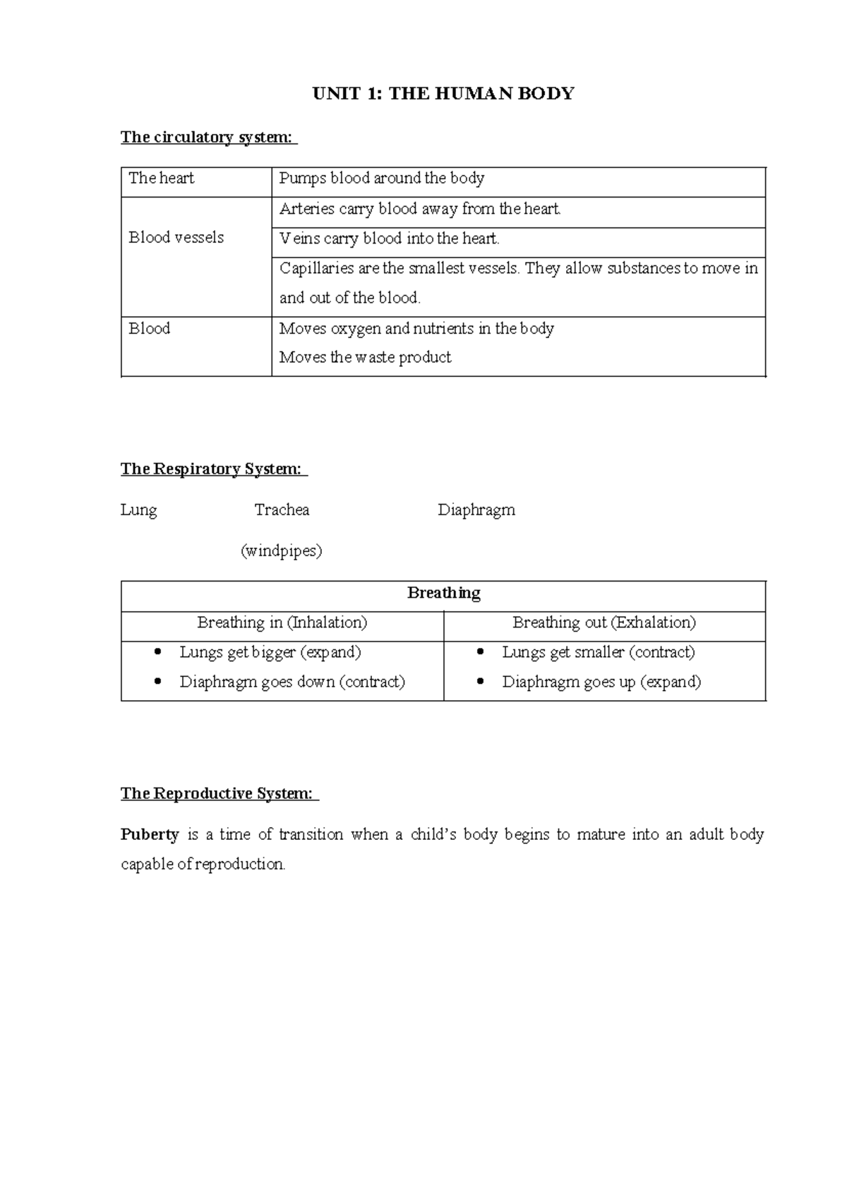 Revision UNIT 1. THE Human BODY - UNIT 1: THE HUMAN BODY The ...
