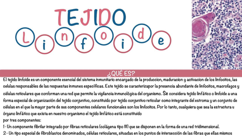 Tejido Linfoide: Estructura y Función del Sistema Inmunitario - Studocu