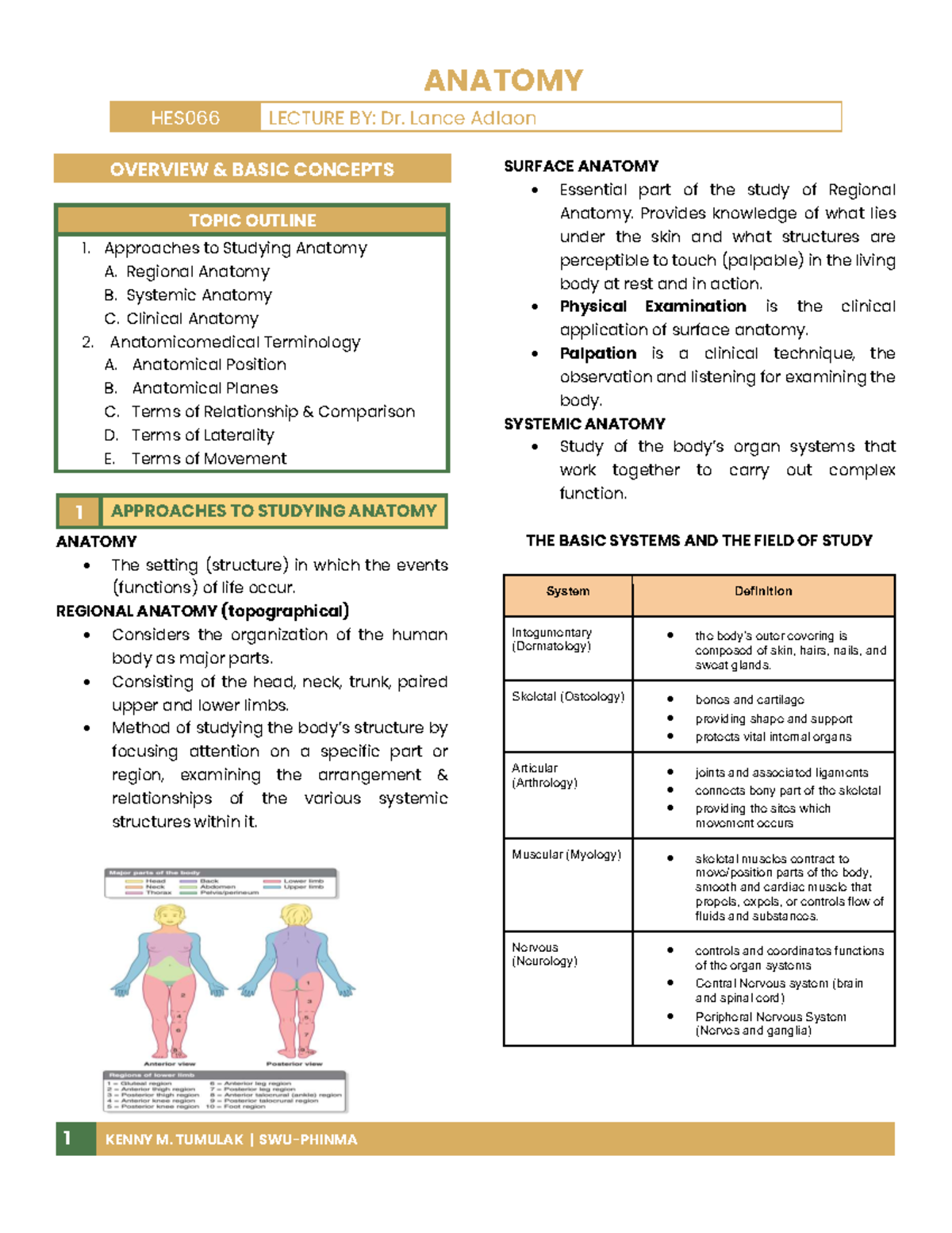 ANATOMY HES066 LECTURE: Overview of Basic Concepts and Terminology ...