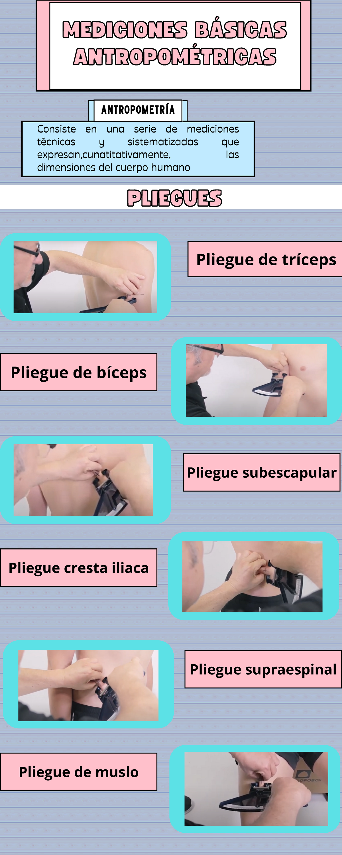 Infografia antropometria - antropometría Pliegue de tríceps Pliegue de bíceps Pliegue ...