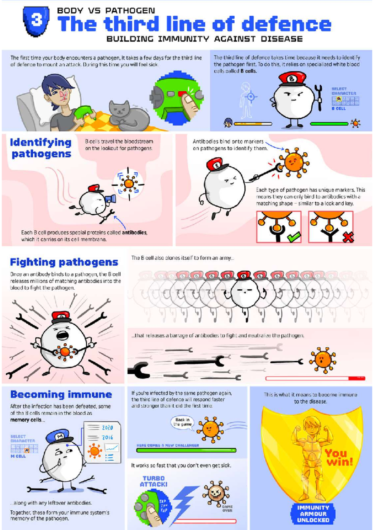 BODY VS PATHOGEN 3: Understanding the Third Line of Defence - Studocu