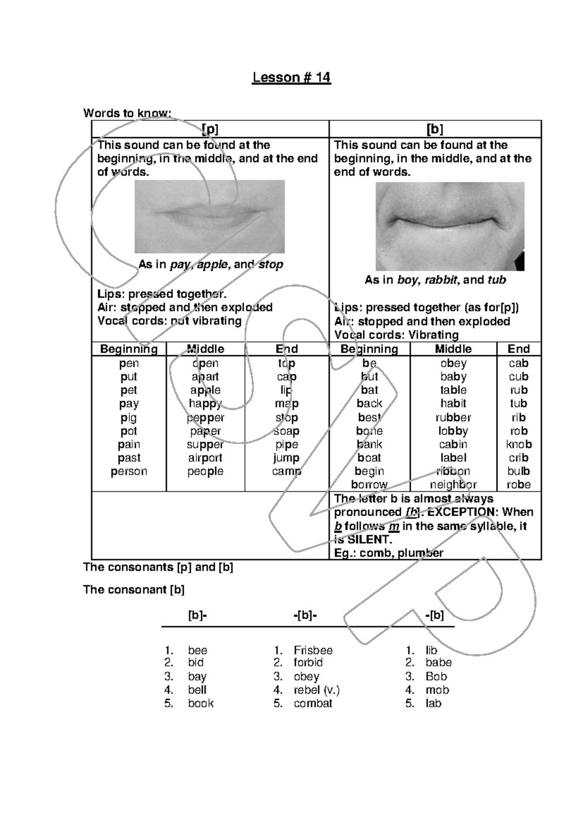 Lesson 14 - Sound Recognition and Pronunciation Activities - Studocu