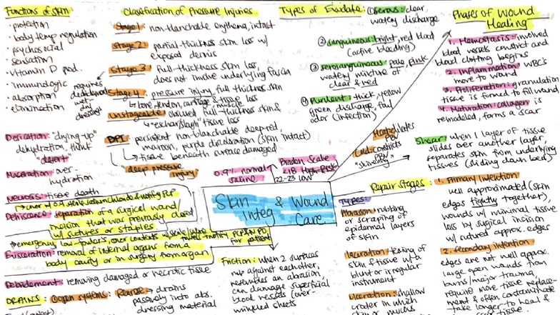 Skin Wound Classification & Healing Phases: Concepts & Notes - Studocu