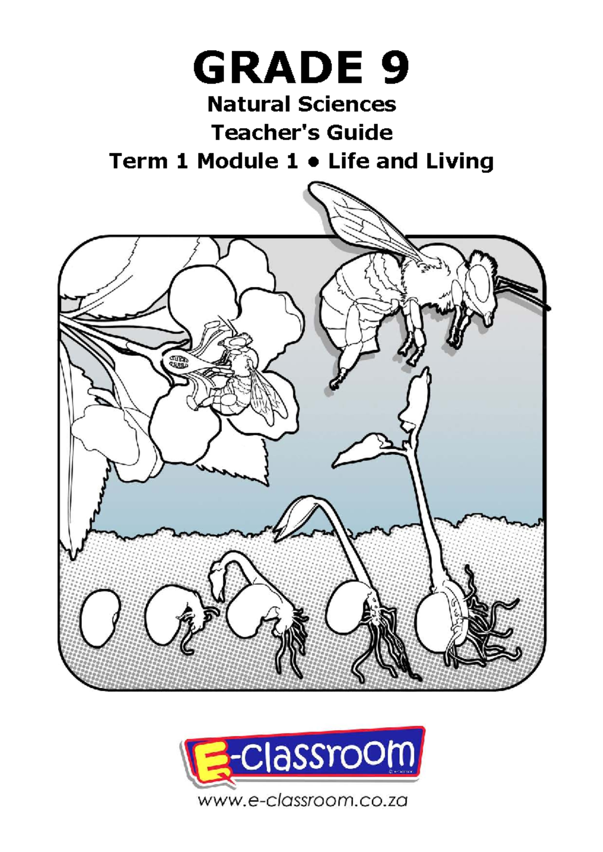 GRADE 9 TERM 1 NATURAL SCIENCES LIFE AND LIVING MEMO - Studocu