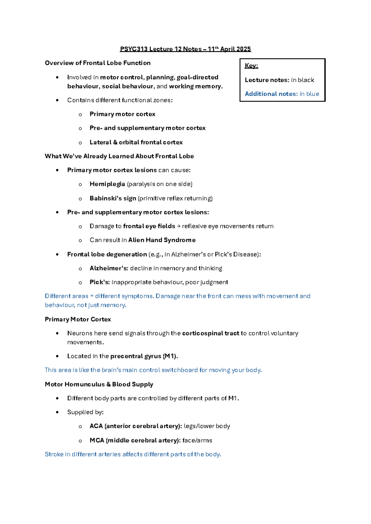 Psyc313 Lecture 12 Notes Overview Of Frontal Lobe Functions