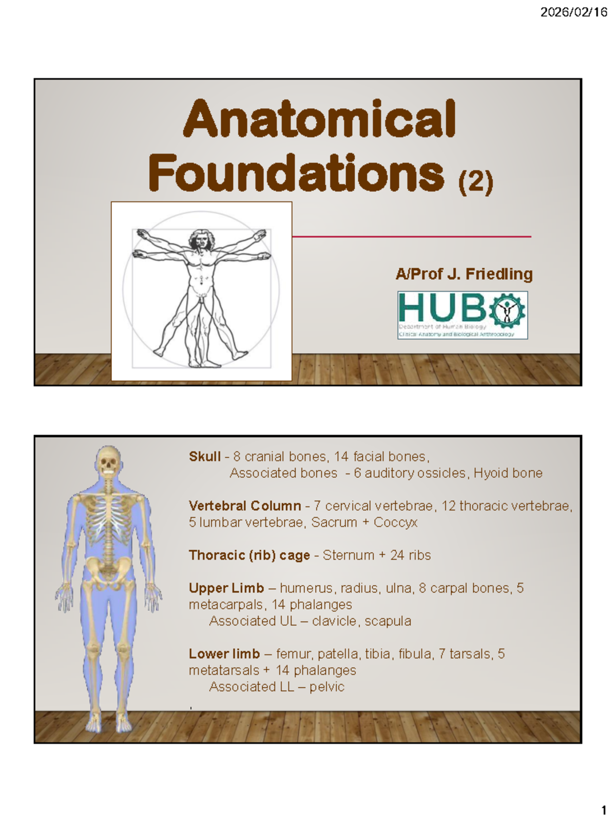 Anatomical Foundations (2) - Comprehensive Overview of Human Anatomy ...