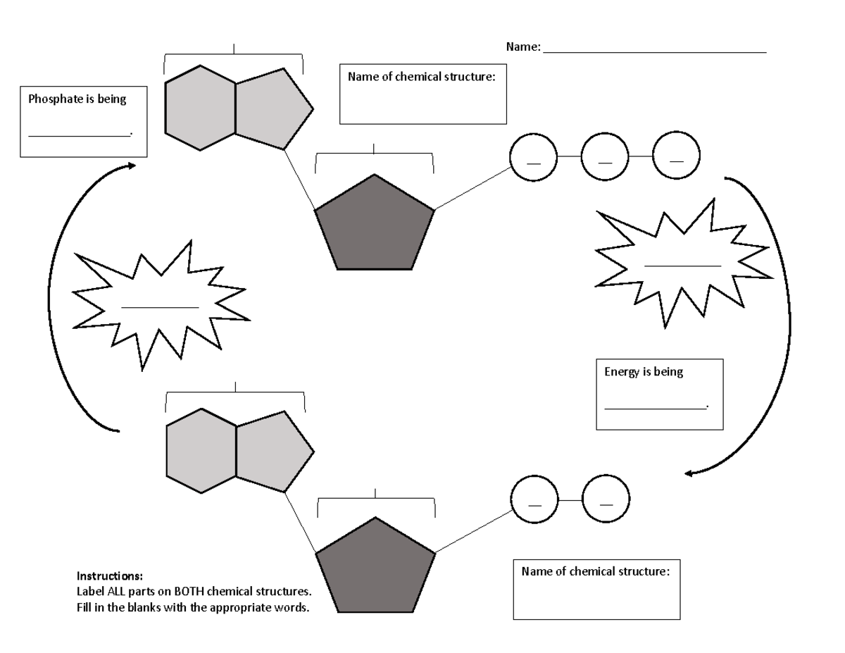 Atpadpcycle Review Quiz-1 - Name ...