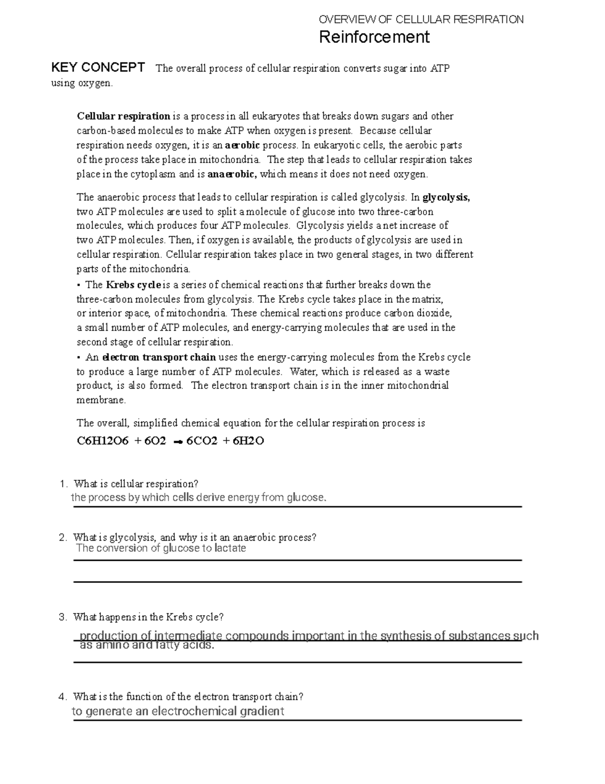 Cellular Respiration Power Notes - Bio101 - Kaedan Purcell - Studocu