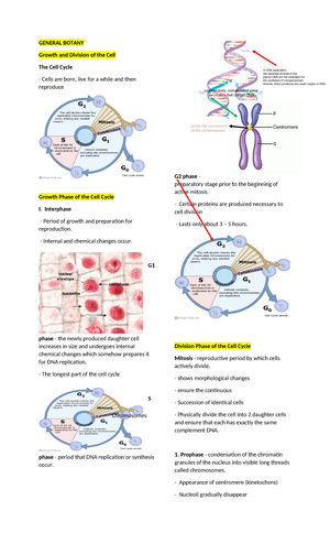 Human Rights - evaluation handoutsssss - NSTP 1 National Training ...