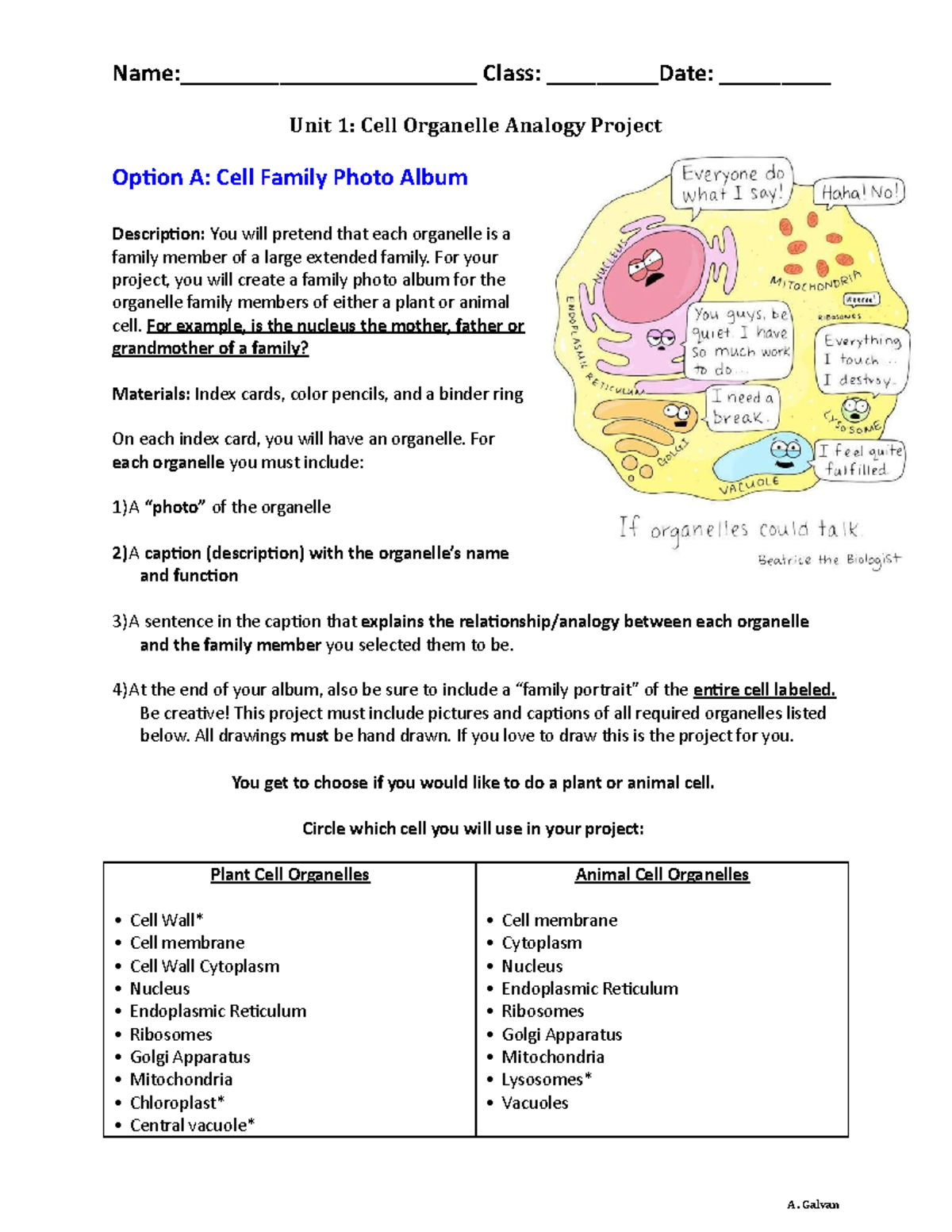Cell Organelle Analogy Project Guidelines - 2018-2019 - Studocu