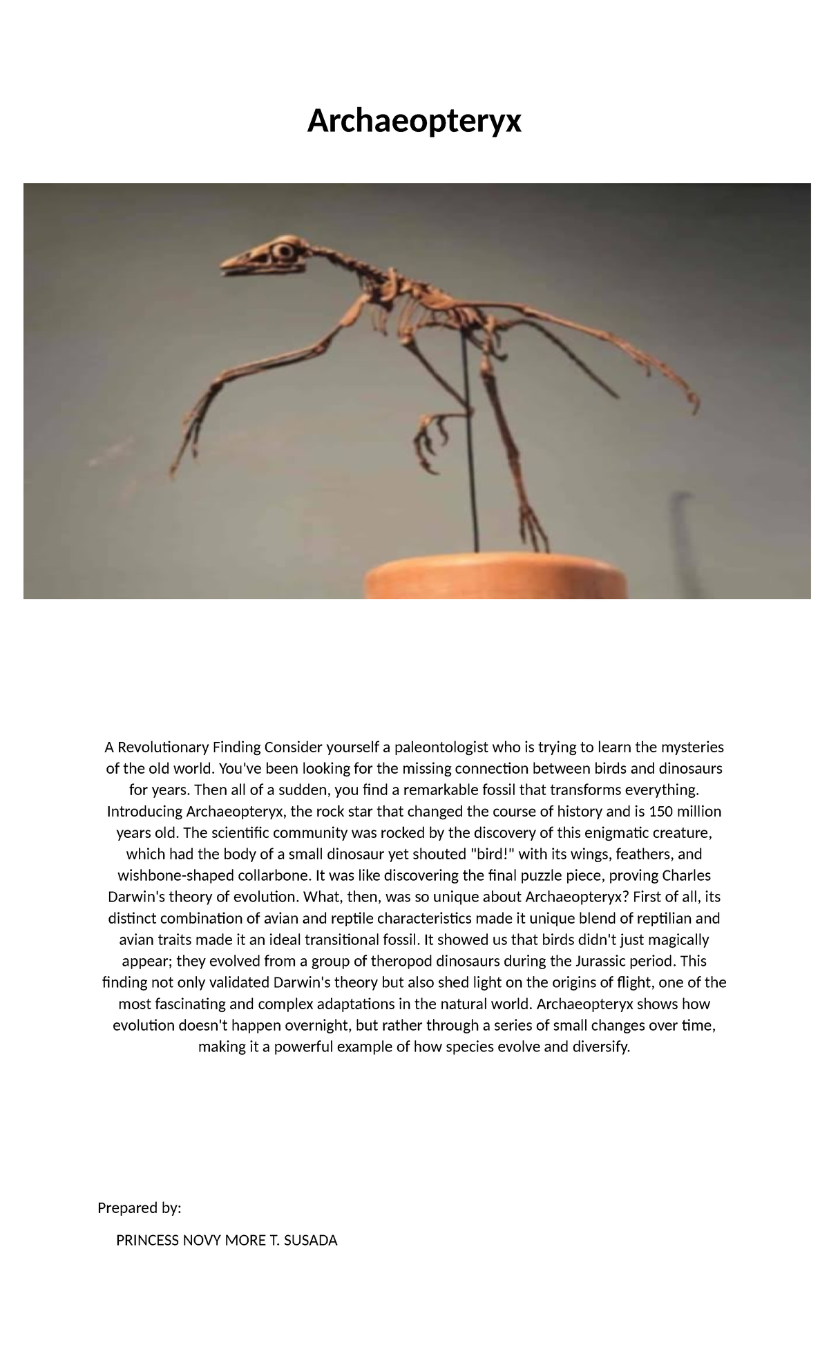 Archaeopteryx - You've been looking for the missing connection between ...