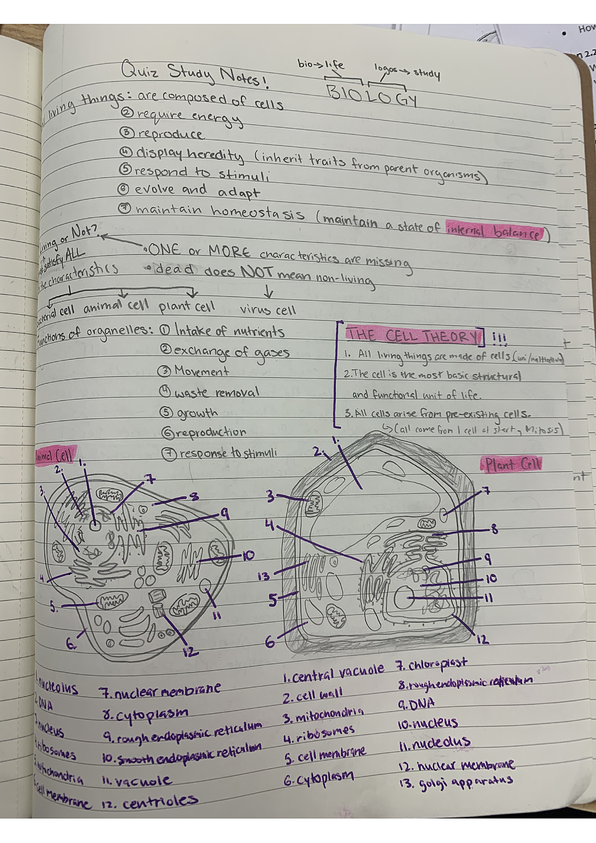 IMG 9633 - Biology quiz study notes - Quiz Study Notes! bio life logos ...