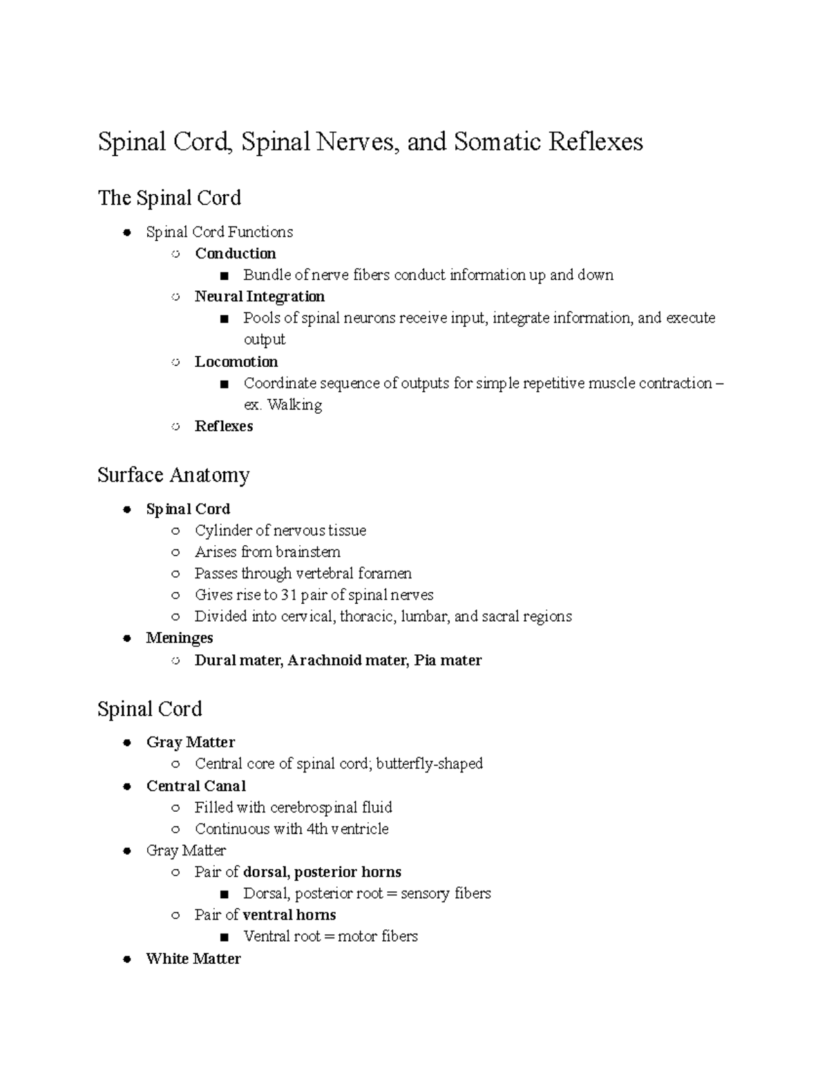 Spinal Cord, Spinal Nerves, and Somatic Reflexes - Walking Reflexes ...