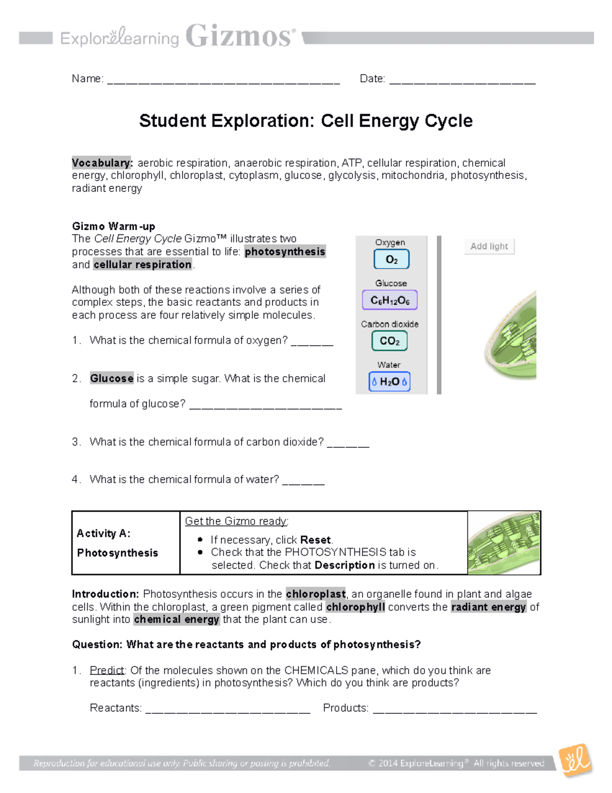 Cell Energy Cycle SE - Gizmo Exploration Guide - Studocu