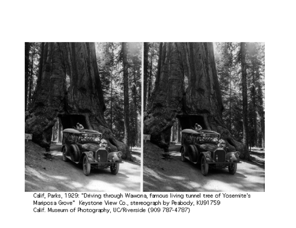 Introduction of wood definition and properties california university us ...