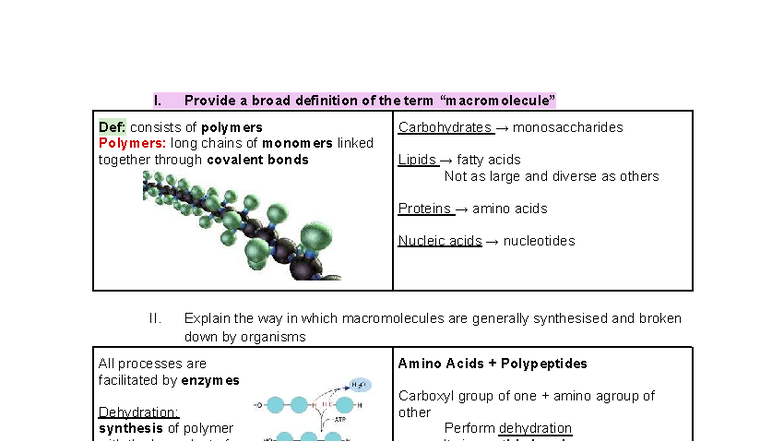 WEEK 3: Macromolecules - Lecture Notes on Structure & Function - Studocu