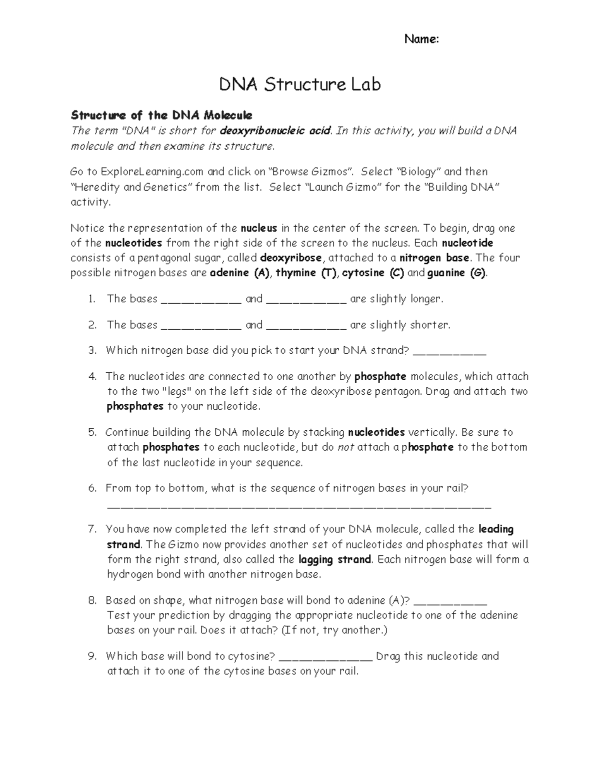 DNA Structure Lab - ..... - DNA Structure Lab Structure of the DNA ...
