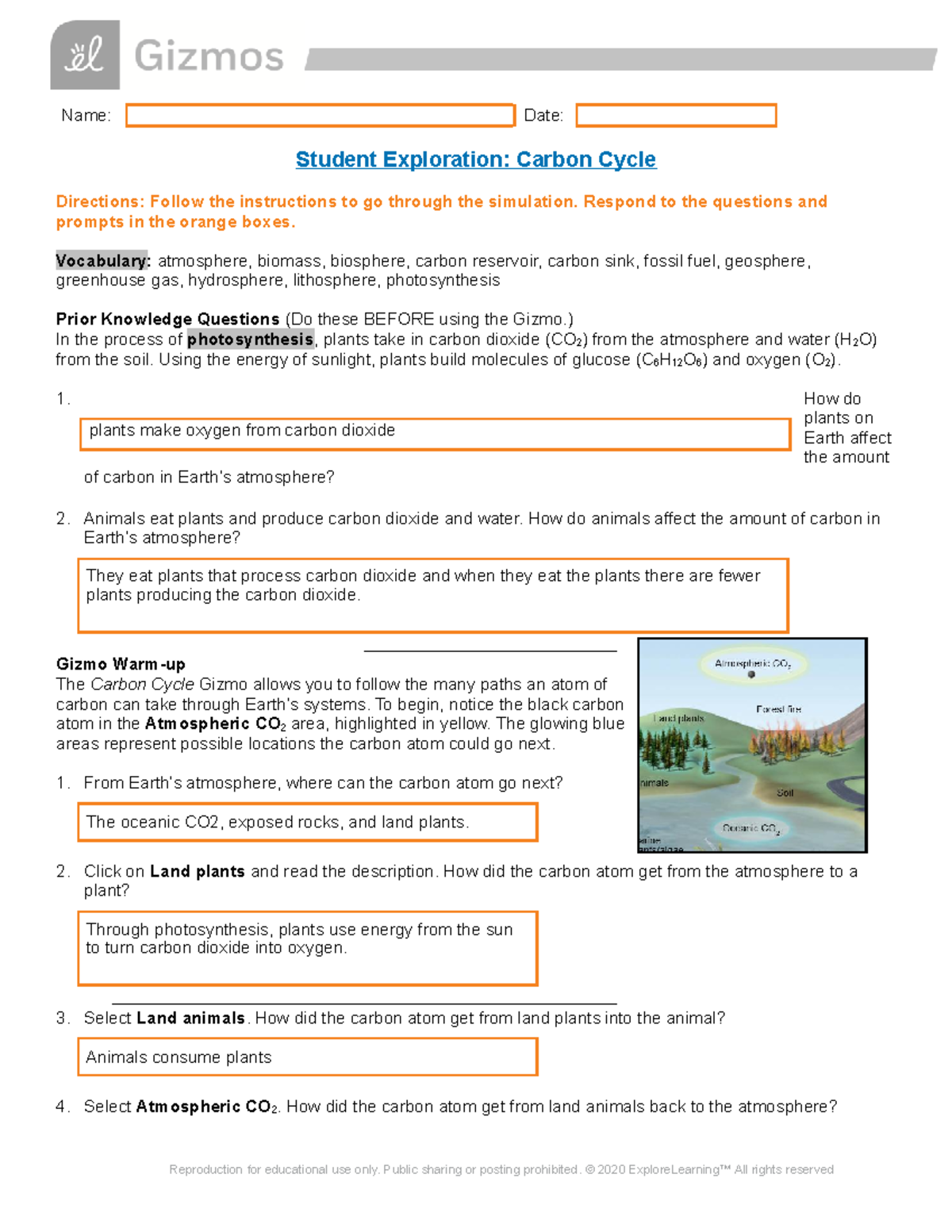Carbon Cycle Worksheet: Exploring Pathways of Carbon in Earth's Systems ...