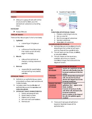 Anaphy - ANATOMY AND PHYSIOLOGY CHAPTER 1: THE HUMAN BODY Anatomy The ...