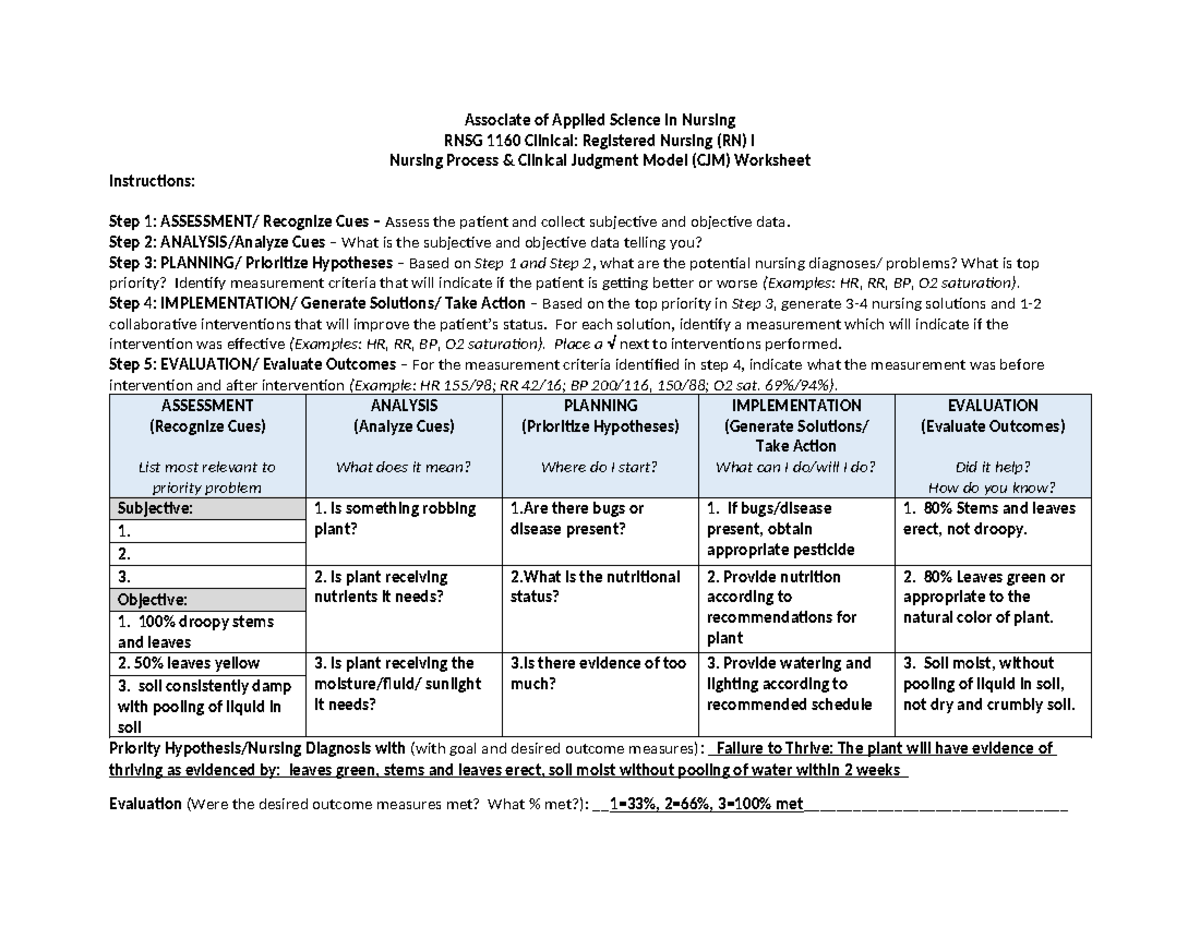 Houseplant Answers Case Study Nursing Process and CJM - Associate of ...