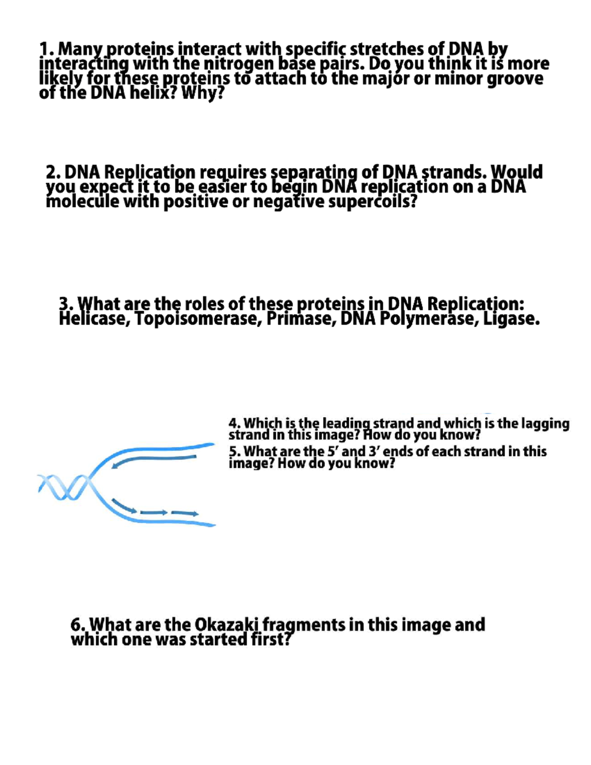 DNA Replication & Protein Roles: Insights & Mechanisms (BIO 101) - Studocu