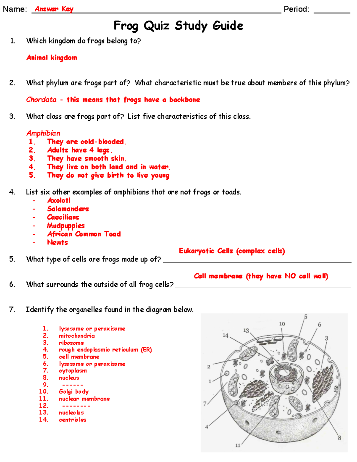 Frog Quiz Study Guide (2023) - Key Concepts & Organ Systems - Name ...