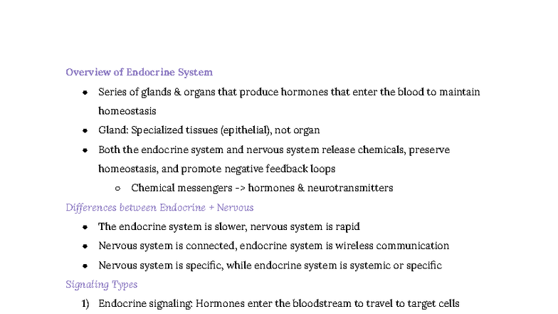 Endocrine System Overview & Feedback Mechanisms - Anatomy Ch 17 - Studocu