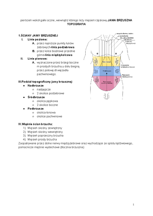 Miednica ŻEŃSKA - MIEDNICA ŻEŃSKA W UJĘCIU ANATOMICZNYM I POŁOŻNICZYM ...