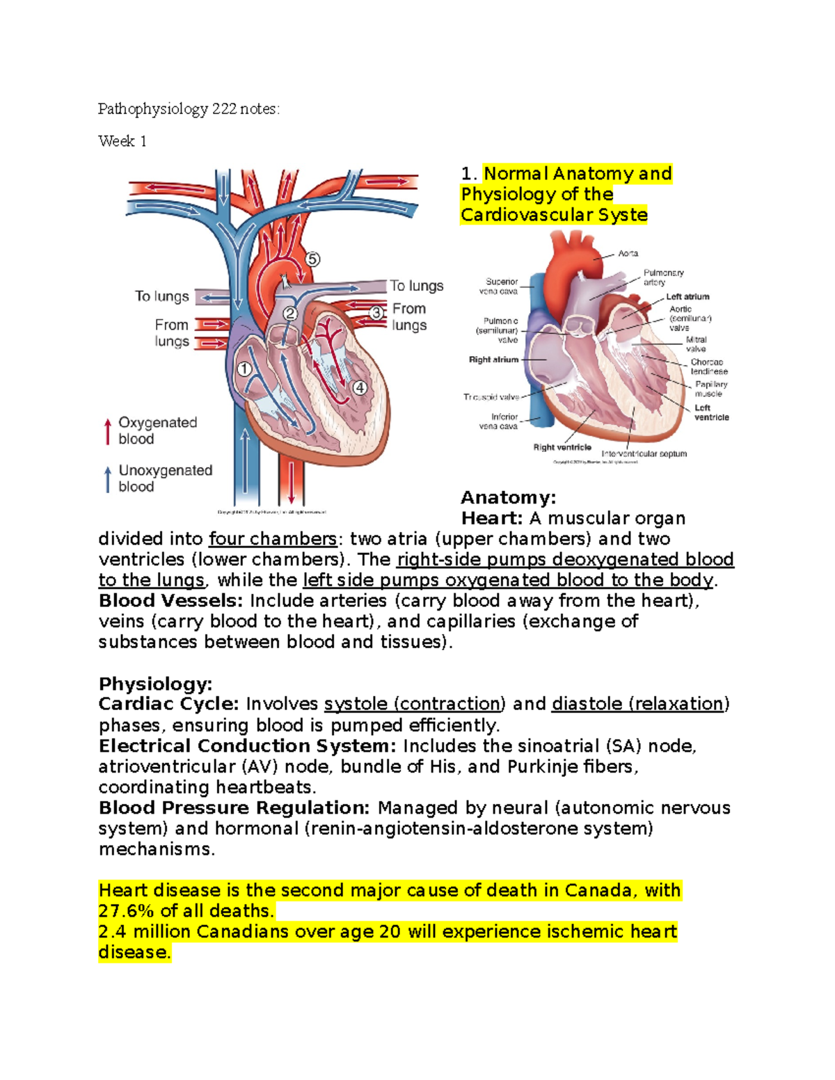 Pathophysiology 222: Key Concepts and Notes on Cardiovascular Health ...