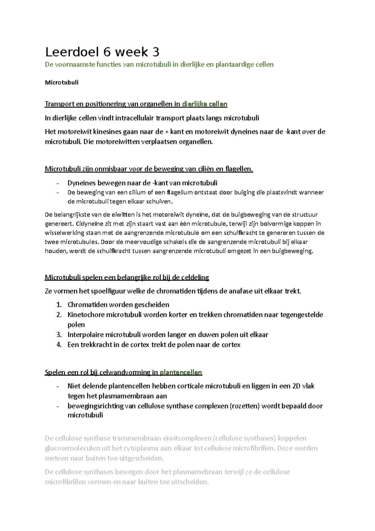 Plastiden in Celbiologie: Functies en Structuren van Organellen ...