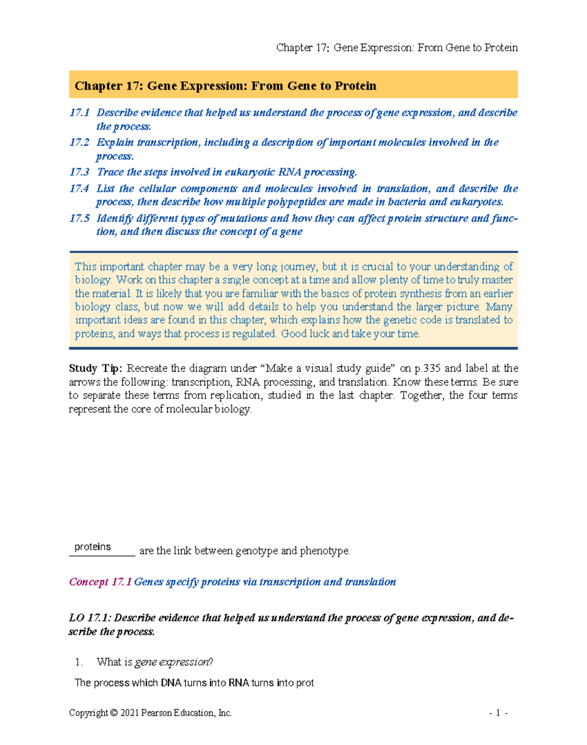 804087731 ARG Ch 17: Gene Expression - From Gene to Protein Overview ...