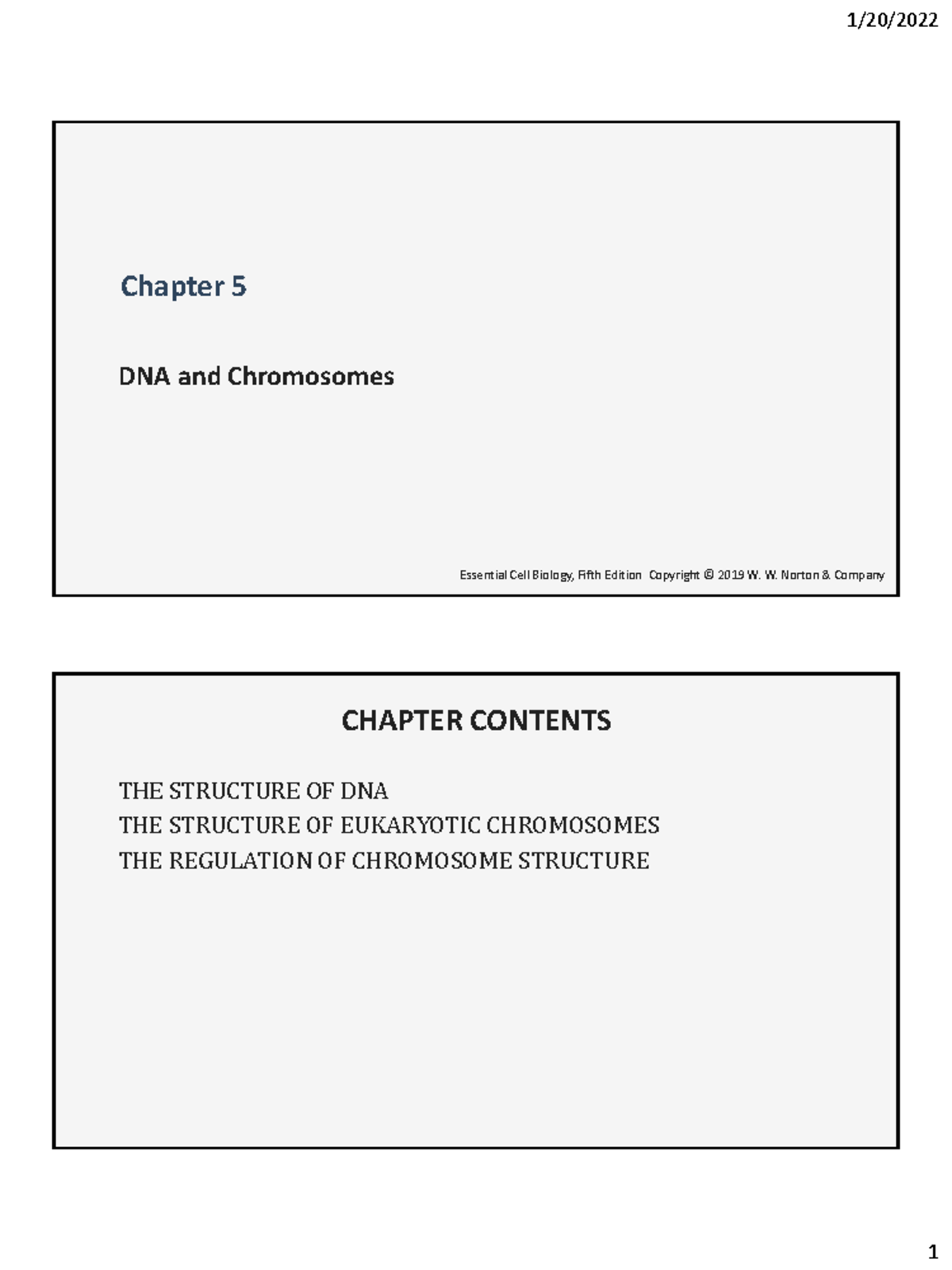 Essential Cell Biology, Chapter 5: DNA Structure & Chromosomes - Chapter 5 DNA and Chromosomes ...