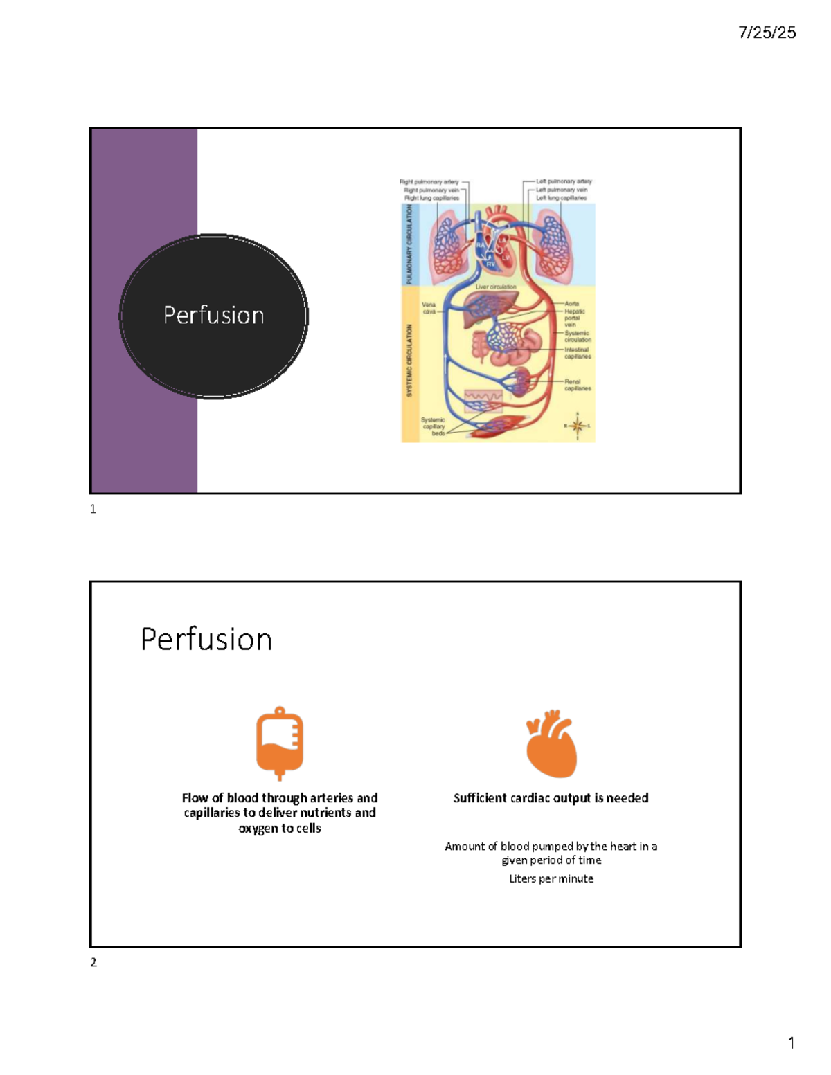 Nursing Strategies for Managing Cardiac & Respiratory Perfusion Issues ...