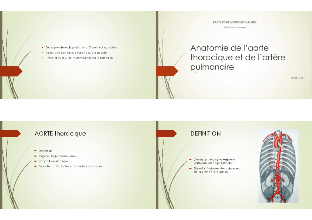Anatomie de l’Aorte Thoracique et de l’Artère Pulmonaire - PDF 6 - Studocu