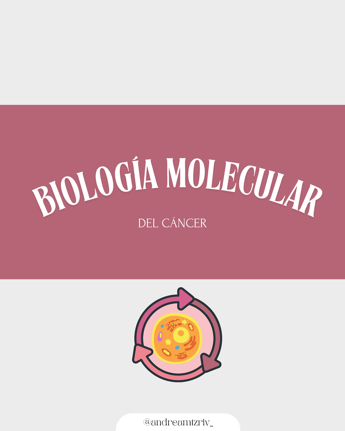 Biología Molecular del Cáncer: Ciclo Celular y Tumorogénesis - Studocu