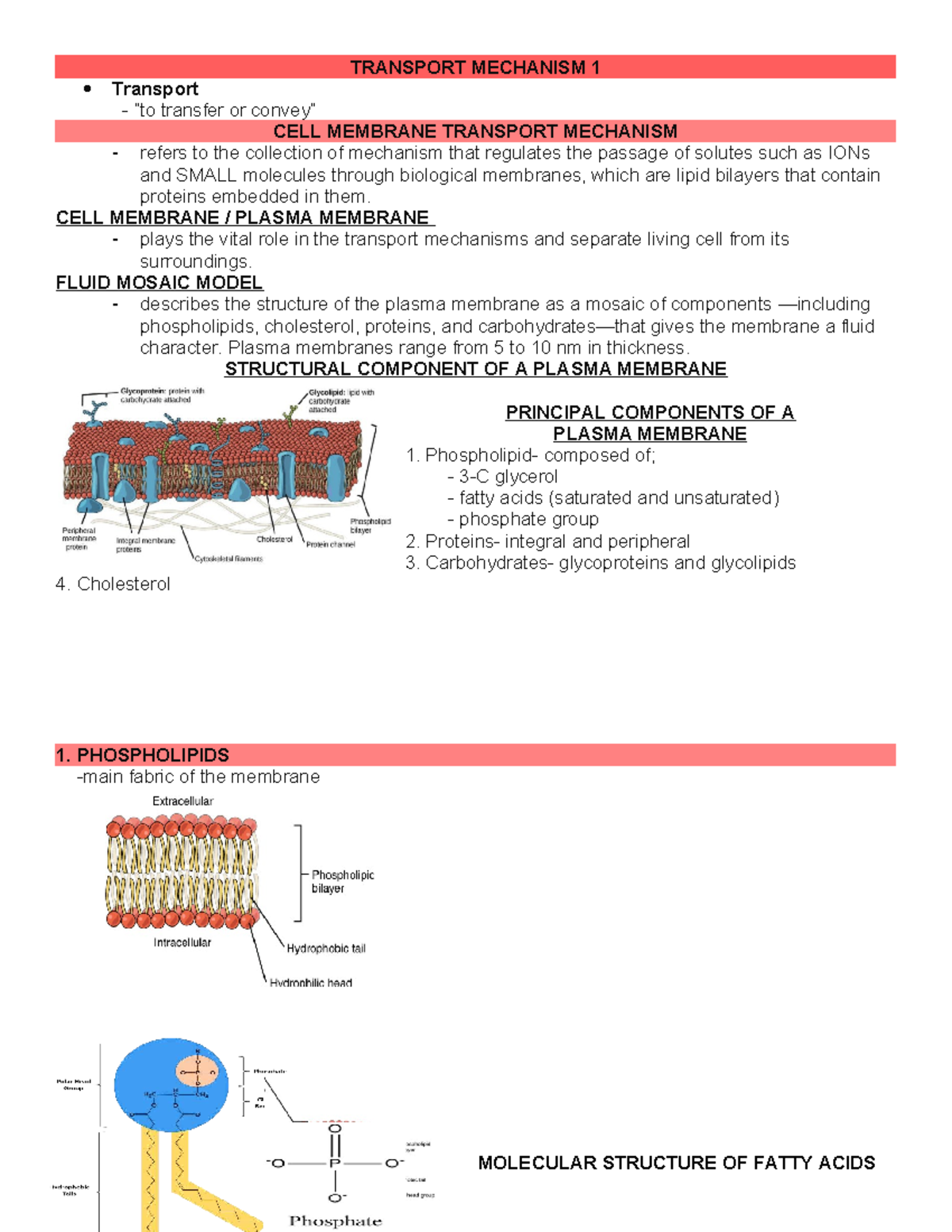 BIO Transport Mechanism 1: Understanding Cell Membrane Dynamics - Studocu