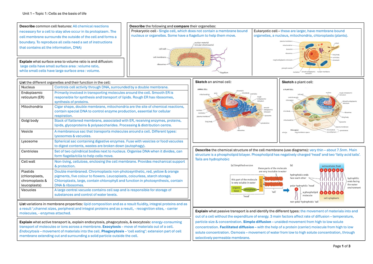 Revision Unit 1 Topic 1: Cells as the Basis of Life - Comprehensive ...