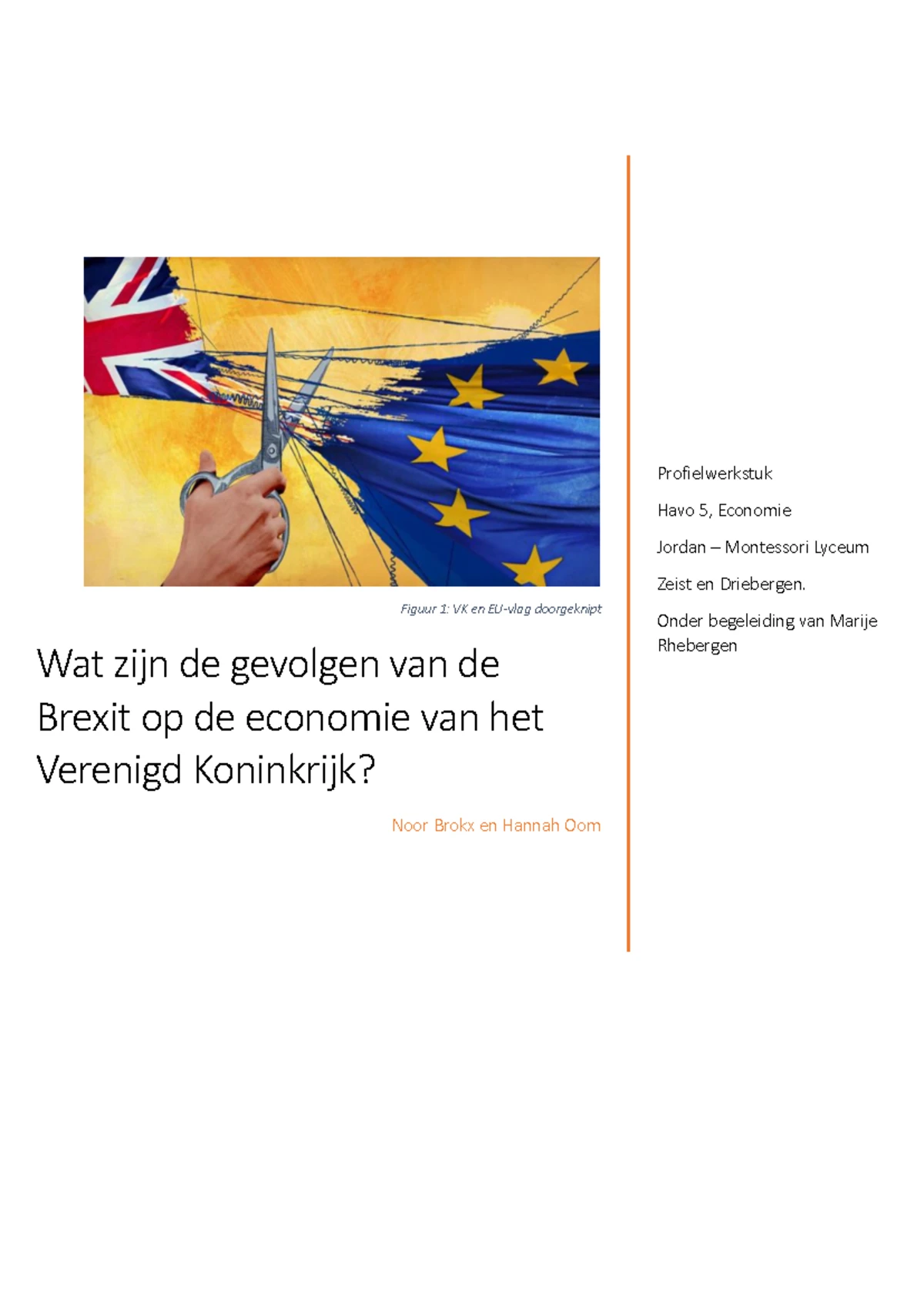 Handleiding Profielwerkstuk HAVO 2024-2025: Definitieve Versie ...