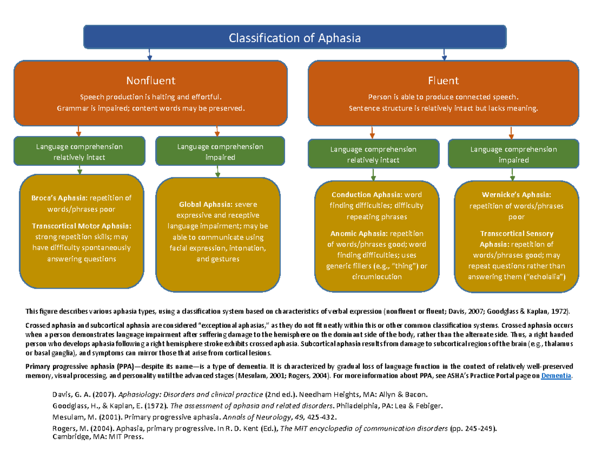 Common Classifications of Aphasia: Types and Characteristics - Studocu