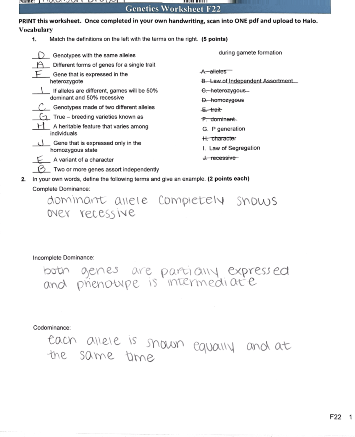 Corn Lab - corn lab - Name: Genetics Worksheet F22 PRINT this worksheet. Once completed in your ...