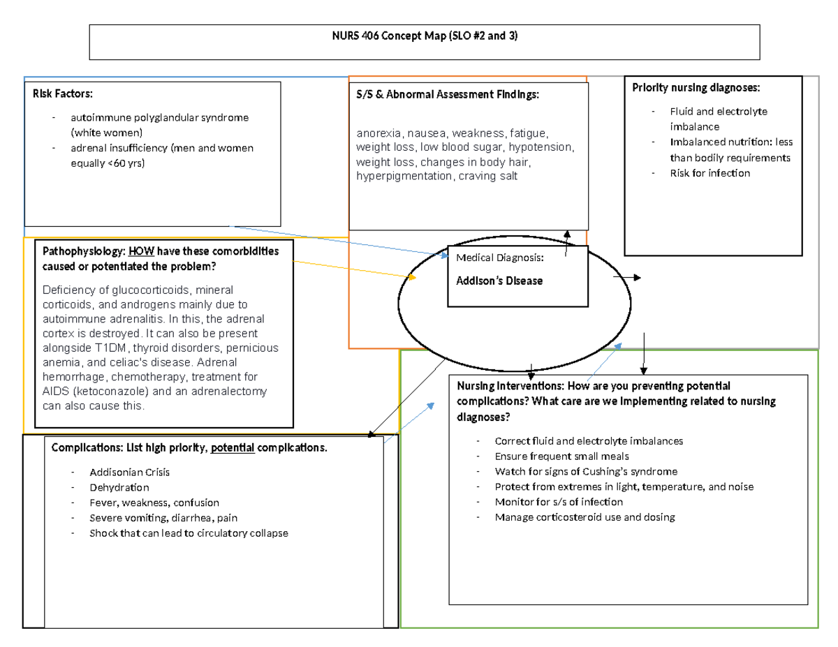 NURS 406 Addison's Disease Concept Map: Risk Factors & Nursing Care ...
