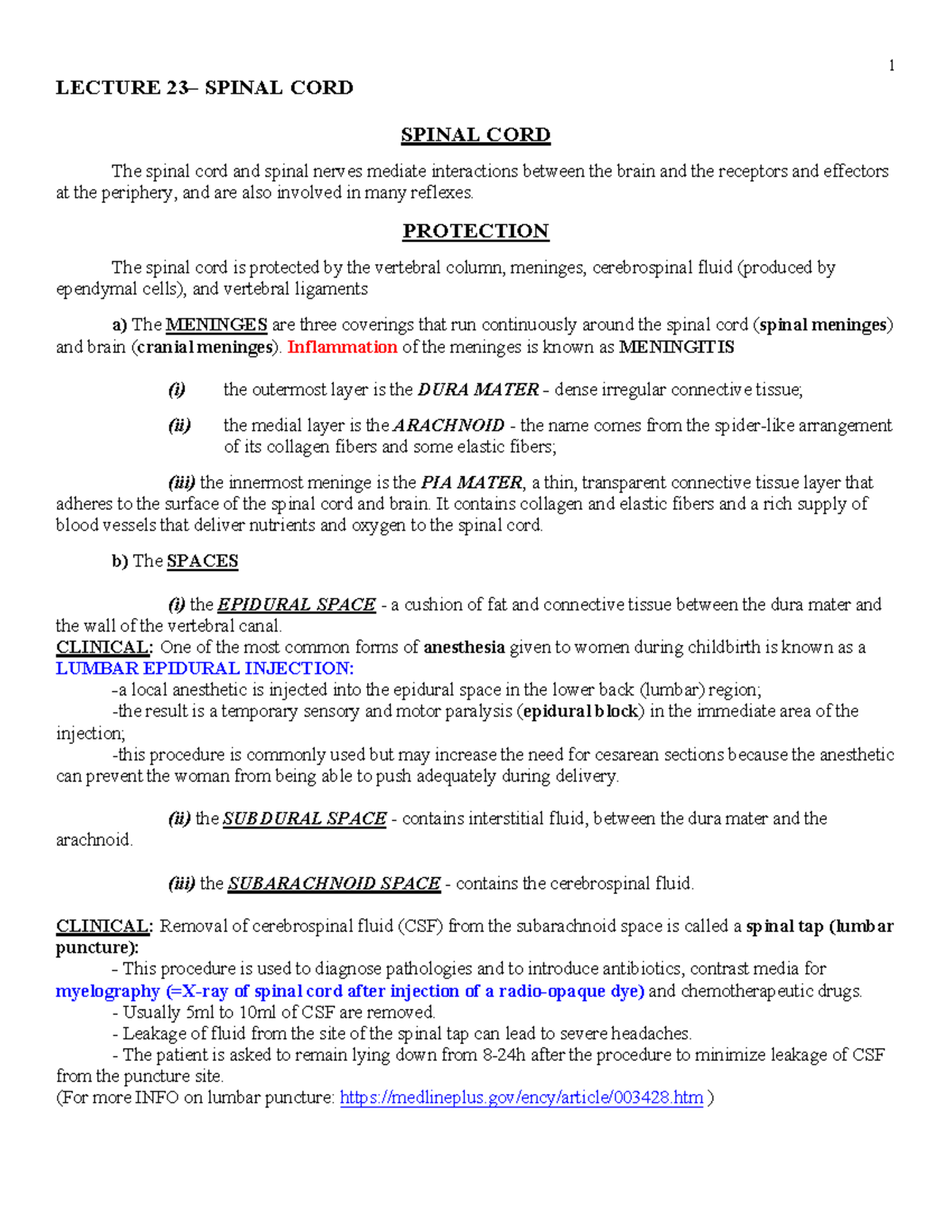 23F25 - Lecture Notes on Spinal Cord Anatomy and Functions - Studocu