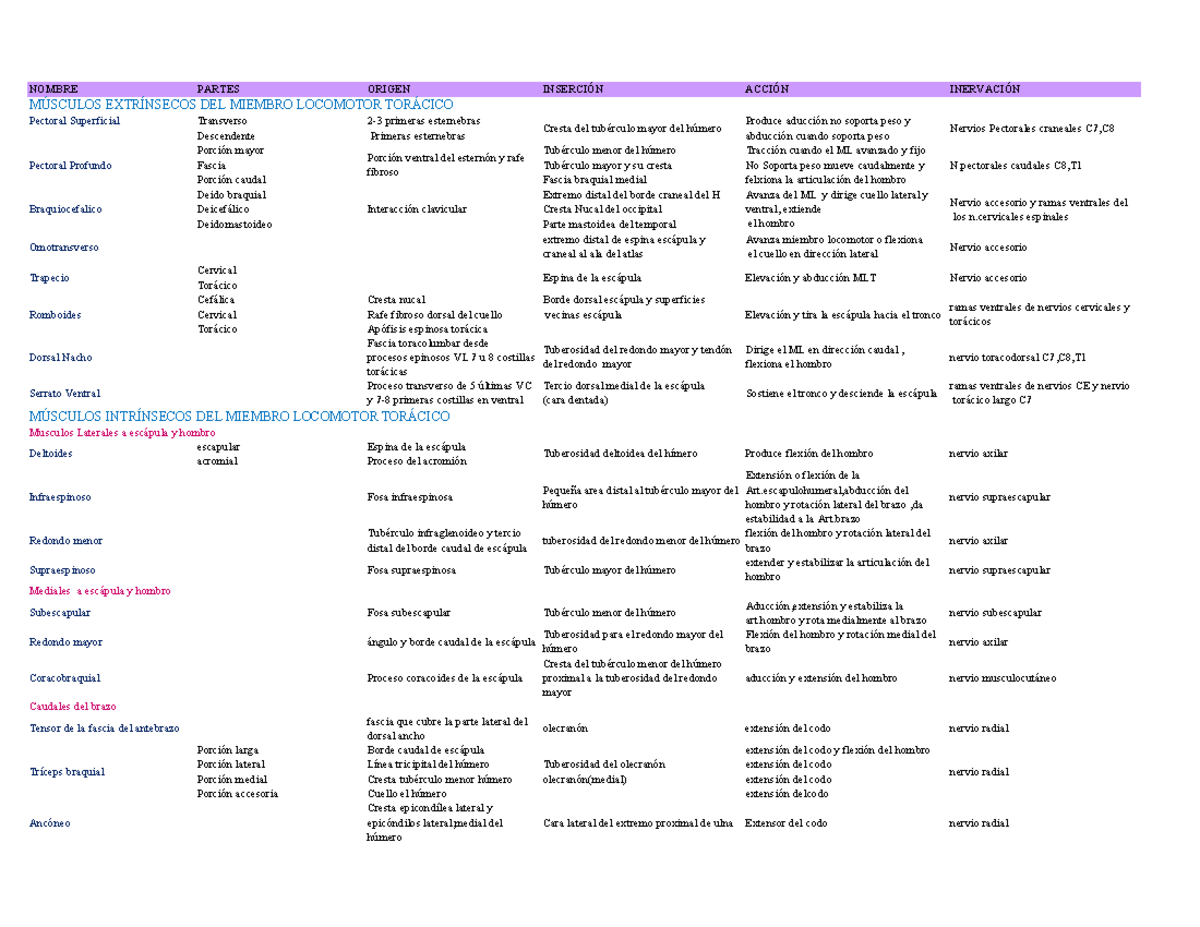 Miología de los Músculos Extrínsecos e Intrínsecos del Miembro ...