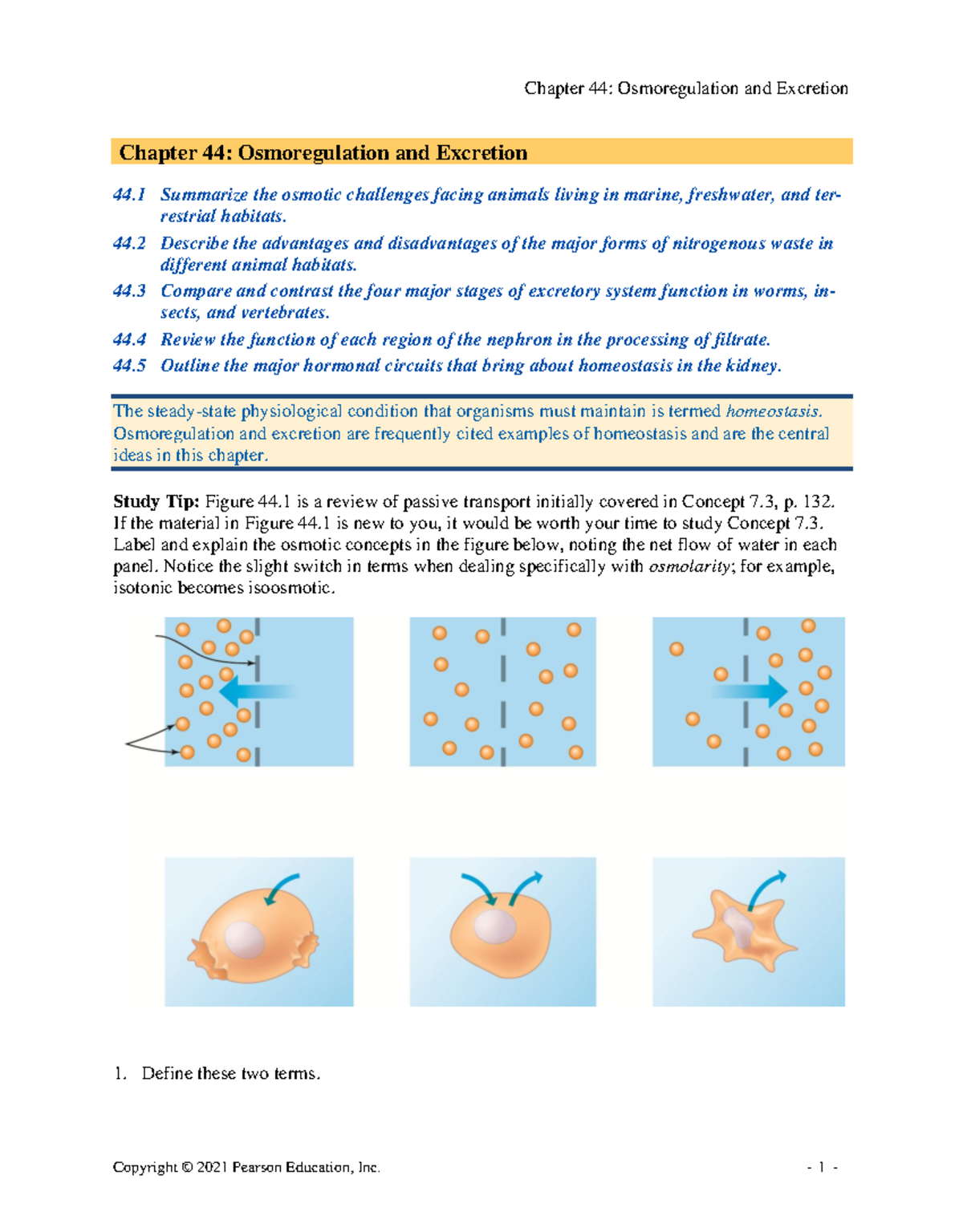 Chapter 44 study guide: Osmoregulation and excretion concepts - Studocu