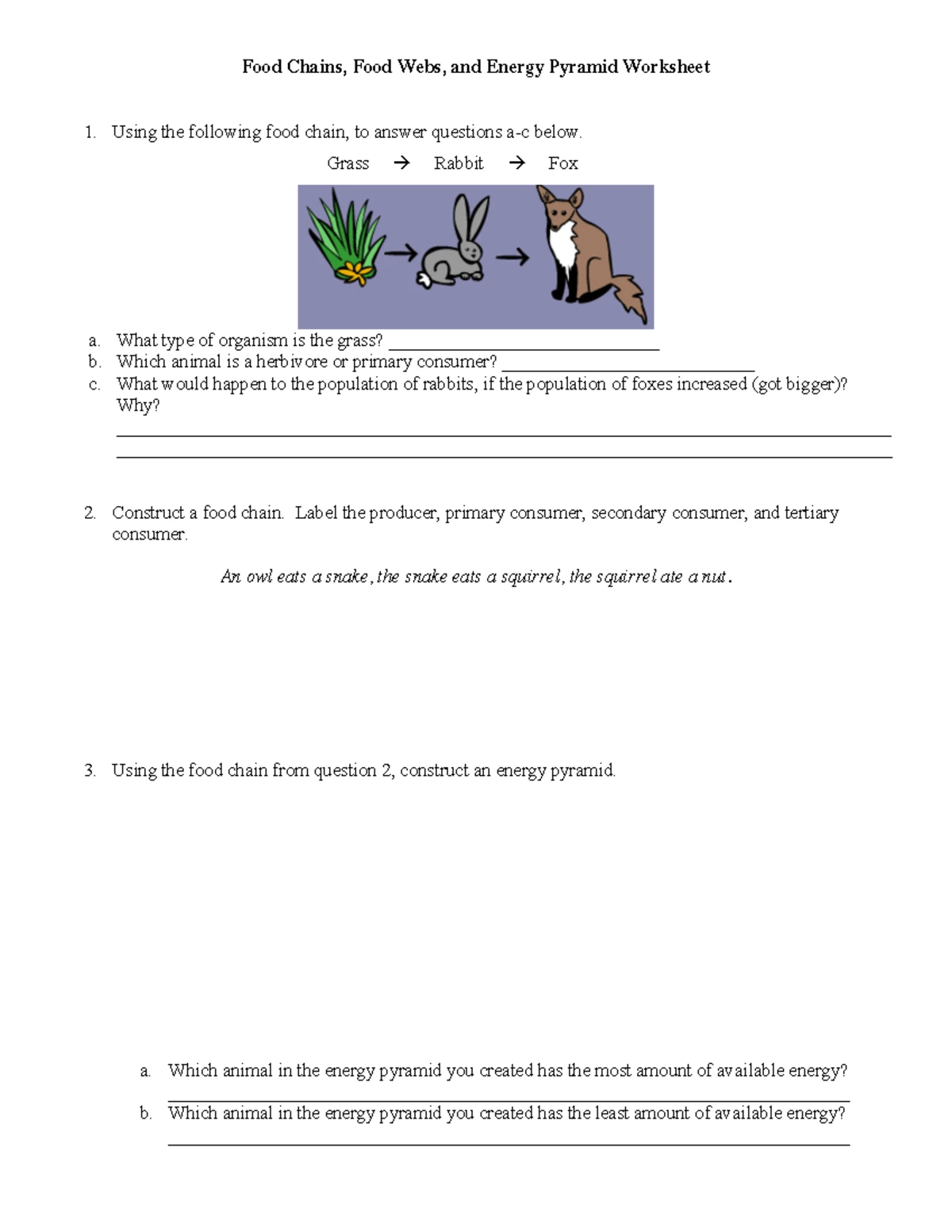 7th-Science-Food Chains, Webs, and Energy Pyramids Worksheet - Studocu