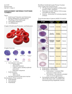 Cell counting Neubauer chamber - Technical Note - Neubauer Chamber Cell ...