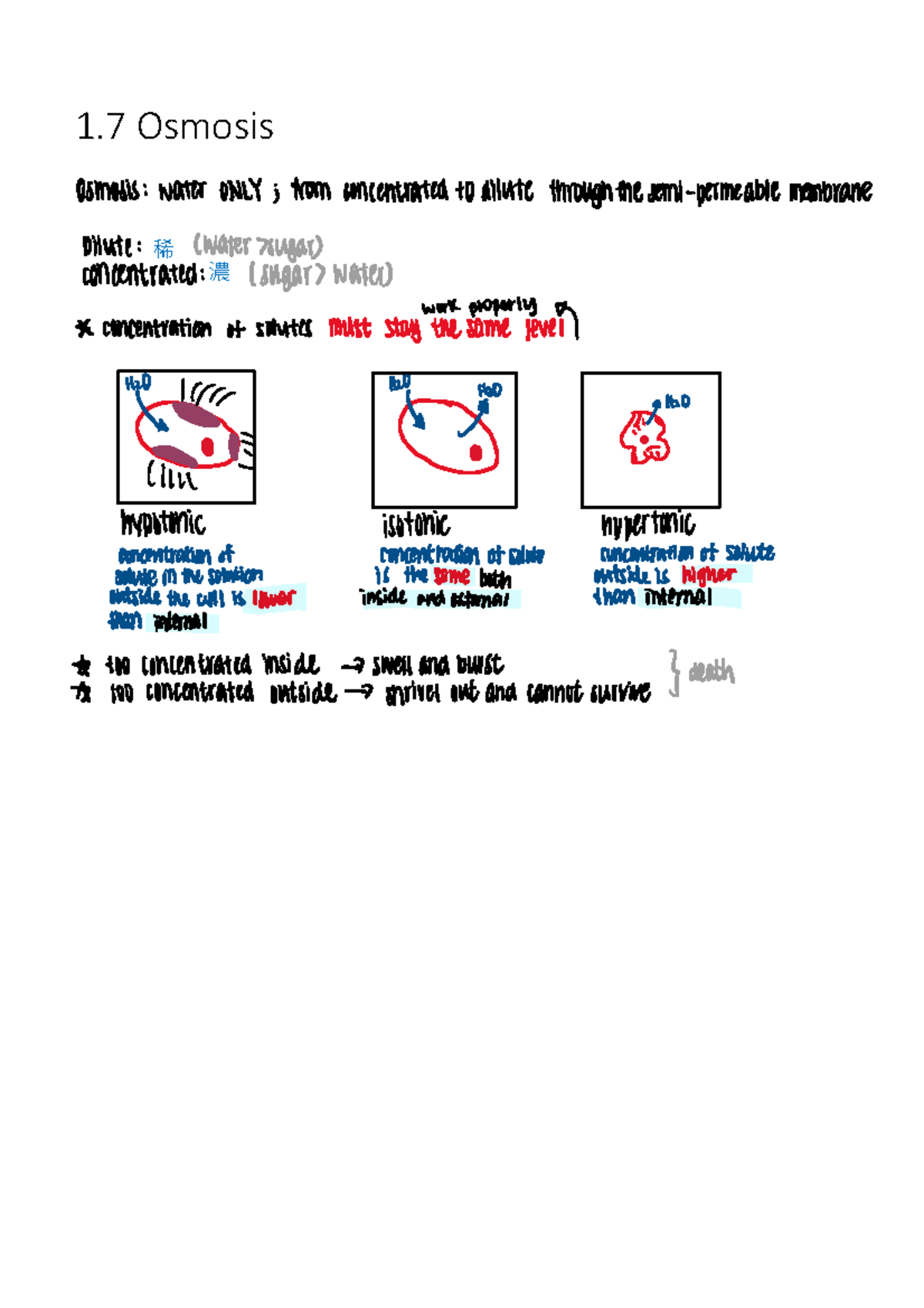 1.7 Osmosis - Key Concepts and Summary of Water Movement - Studocu