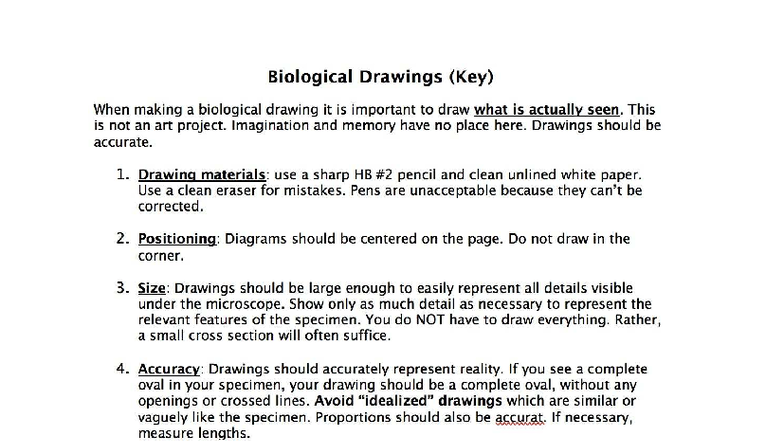 Biological Drawings Guidelines - PAG - Studocu