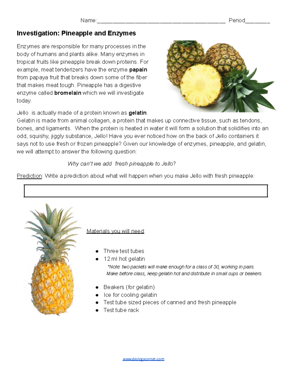 Investigation of Pineapple Enzyme Effects on Gelatin (Lab Activity ...