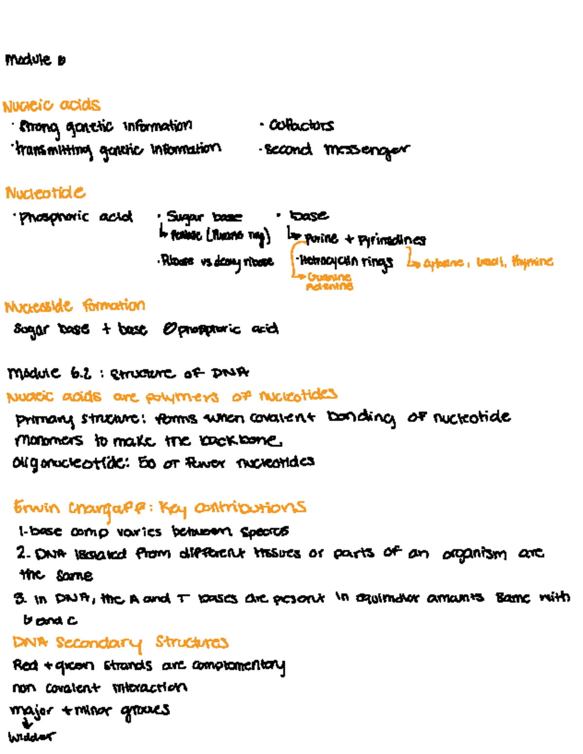 Biochemistry Notes 4: Module 6 - Nucleic Acids and Genetic Information ...